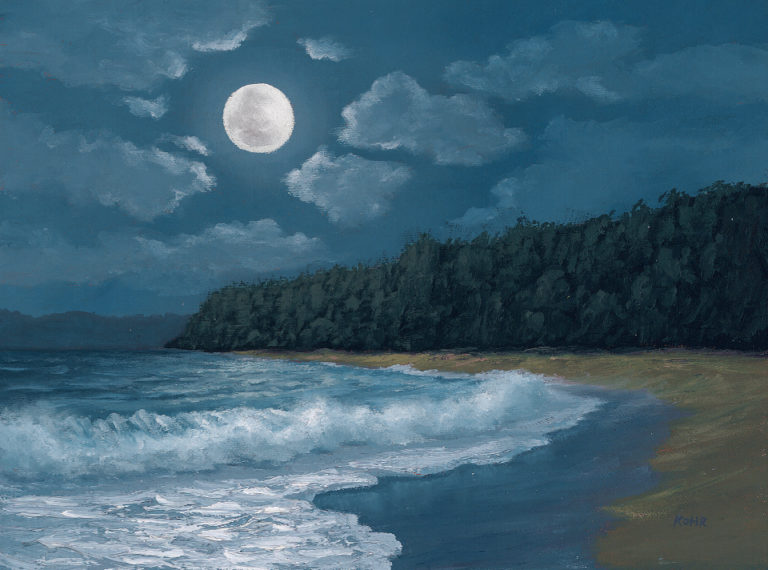 Moonlit Dream - Steve Kohr